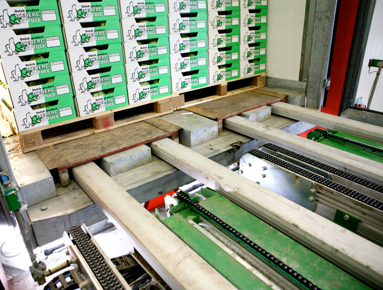 Skate System - Middenmeer, The Netherlands – Ancra Systems